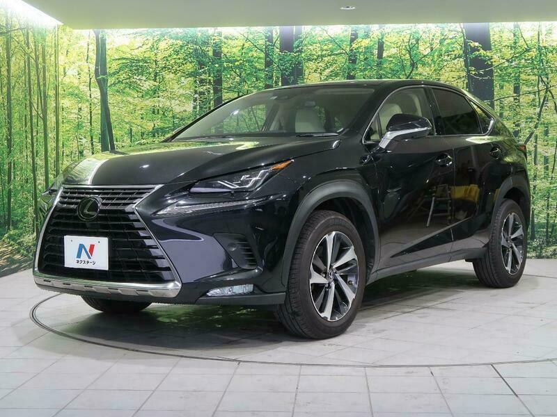 Used 2019 LEXUS NX AGZ10 | SBI Motor Japan