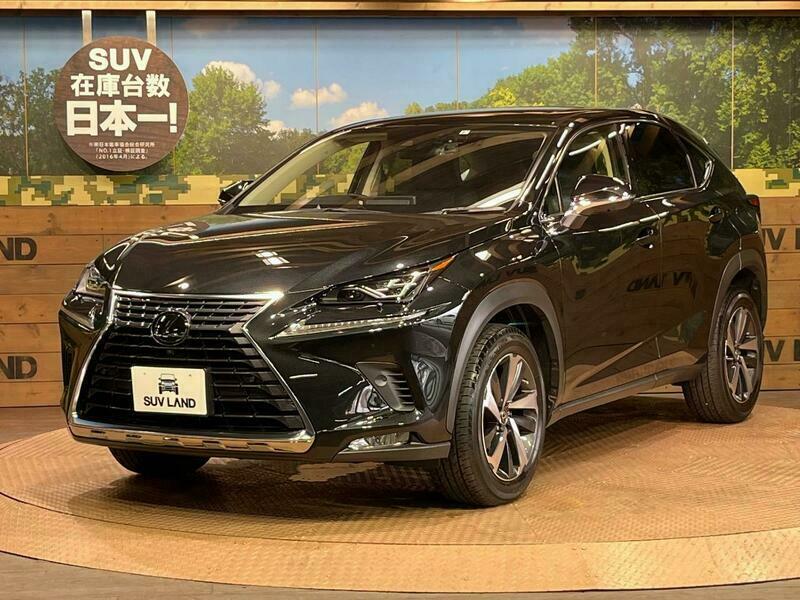 Used 2019 LEXUS NX AGZ10 | SBI Motor Japan